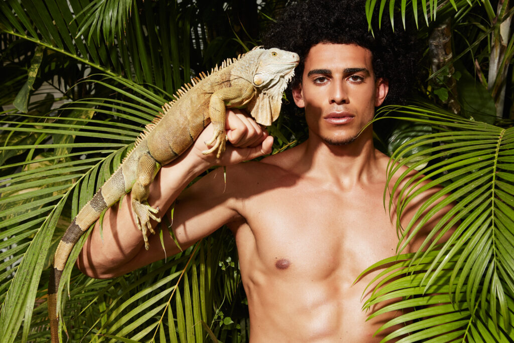 GALLERIES – Top Model International